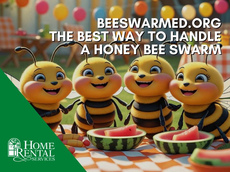 BeeSwarmed.org – The Best Way to Handle a Honey Bee Swarm – Home Rental ...